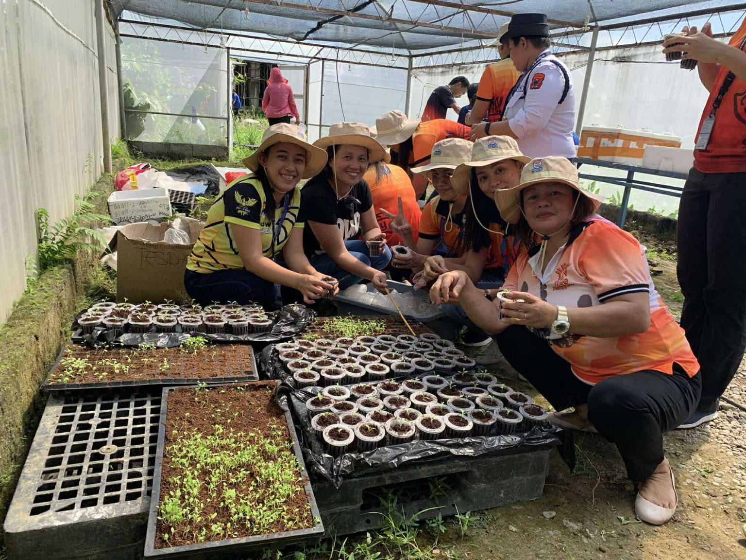 RTC-Korphil Conducts Training of Trainers on Hydroponics Technology ...